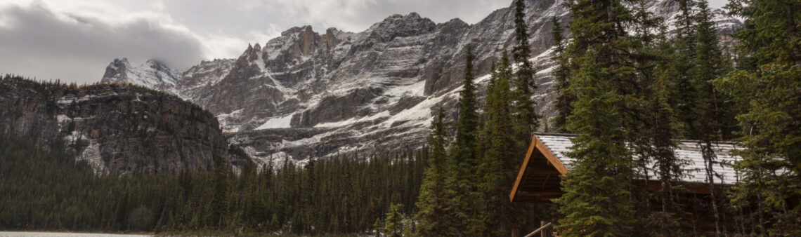 Who We Are - Northern Lakes College Student Association