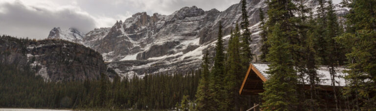 Who We Are - Northern Lakes College Student Association